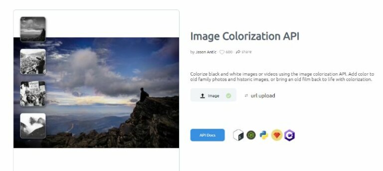 Top 15 AI Photo Colorizers to Colorize Black and White Photos (2024)