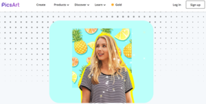 Top 20 AI Background Remover Tools for Free in 2024