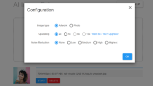 How to Enlarge Image with Bigjpg?