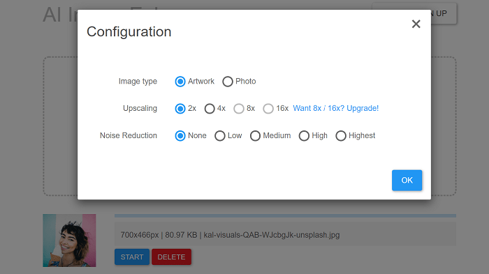 How to Enlarge Image with Bigjpg?