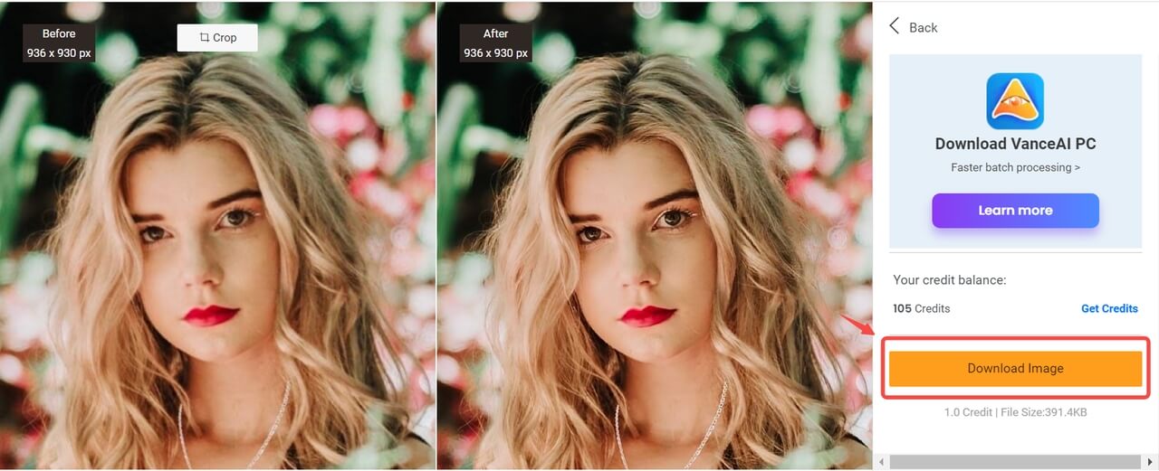How to Enhance Image Quality in VanceAI Photo Editing Tools