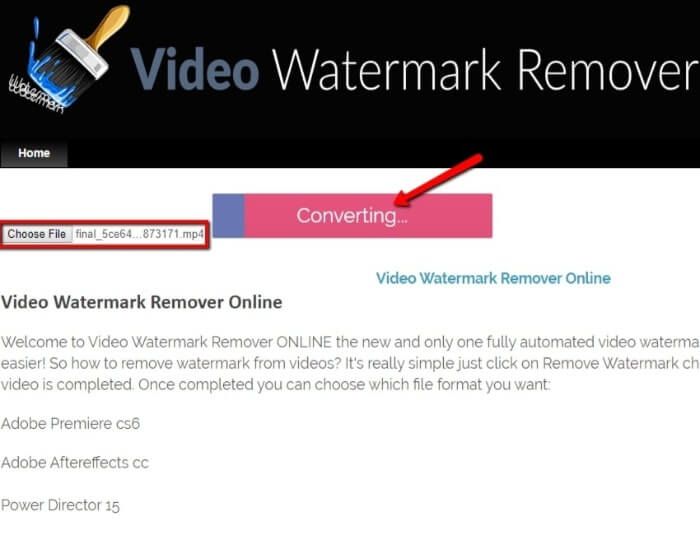 Top 20 Best Watermark Removers To Remove Watermarks From Photo Video