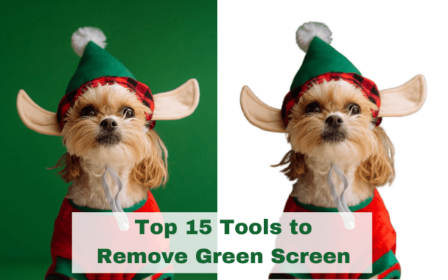 Top 15 Tools to Remove Green Screen 2024