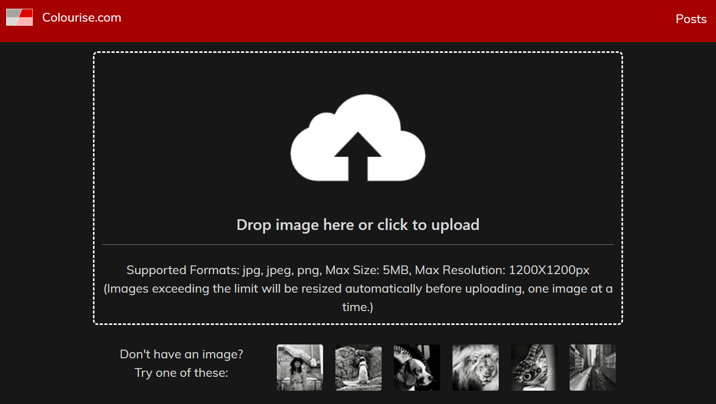 Top 15 AI Photo Colorizers to Colorize Black and White Photos (2024)