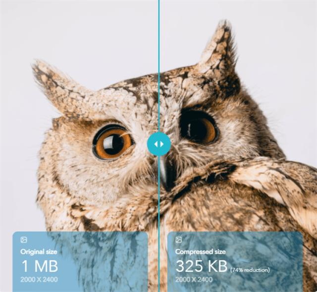 Top 10 Best AI Image Compression Tools for Web 2024