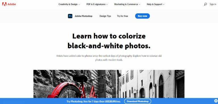 Top 15 AI Photo Colorizers to Colorize Black and White Photos (2024)