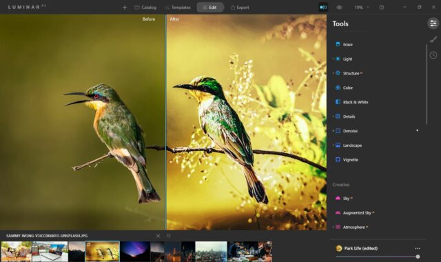 Luminar AI Review – Best Guide for Beginners