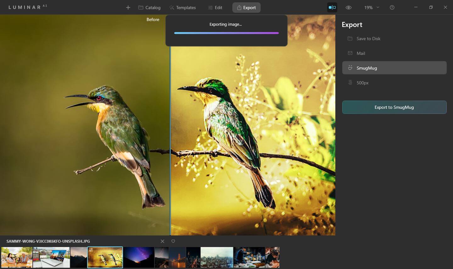 Luminar AI Review – Best Guide for Beginners