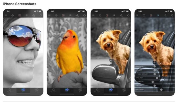 Top 10 AI Tools to Recolor Image (Updated 2024)