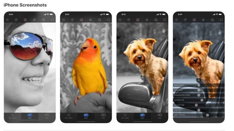 Top 10 AI Tools to Recolor Image (Updated 2024)