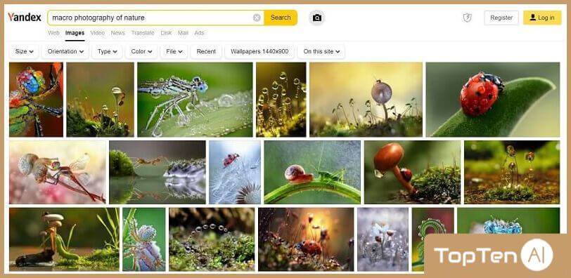 Top 10 AI Reverse Image Search Tools (2024)
