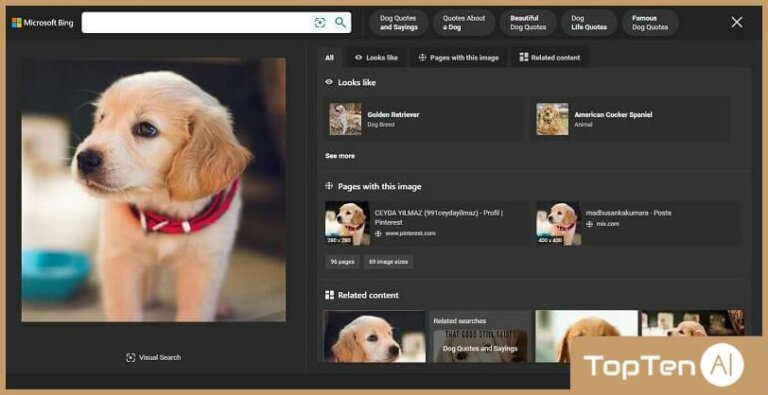 Top 10 AI Reverse Image Search Tools (2024)