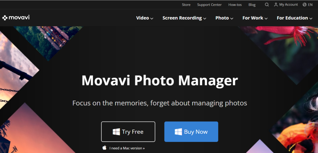 Top 10 Best Photo Management Software Review