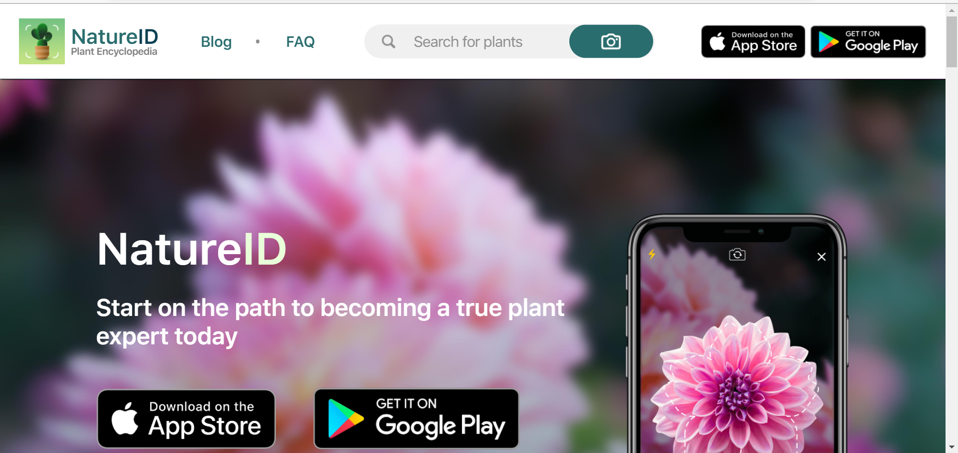 Top 10 AI Plant Identification Apps Review