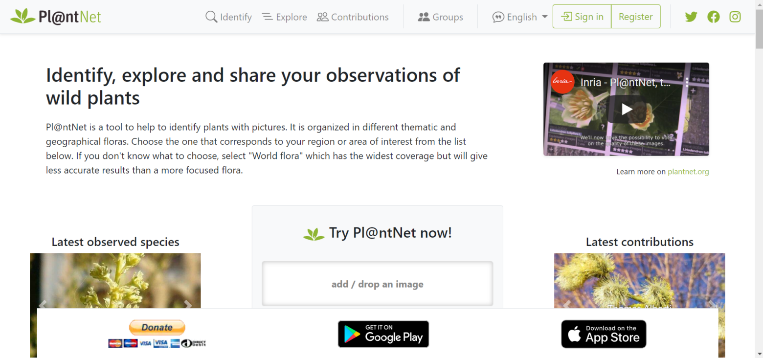 Top 10 AI Plant Identification Apps Review