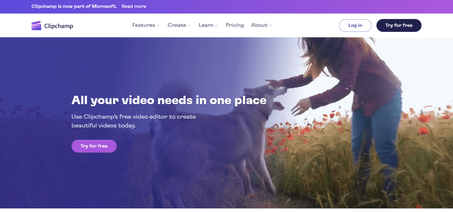 Top 10 Tools to Add Video Effects Online
