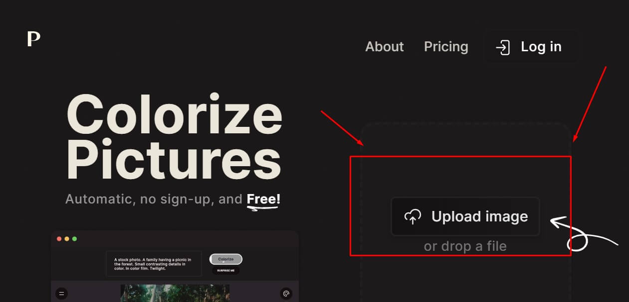 How To Colorize Black and White Photos For Free With Palette Colorizer?