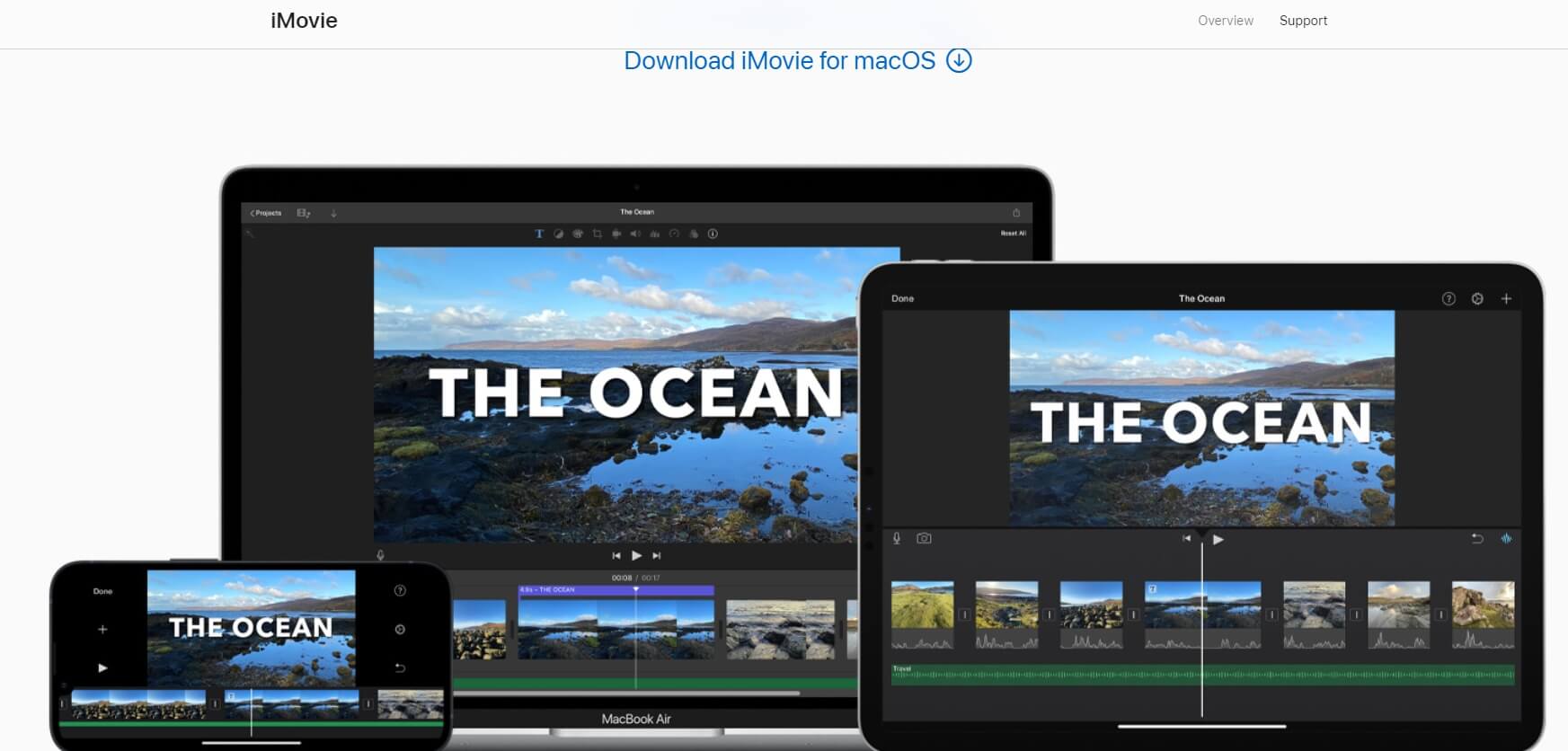 Veed.io Review: Anyone Can Make Great Video Now