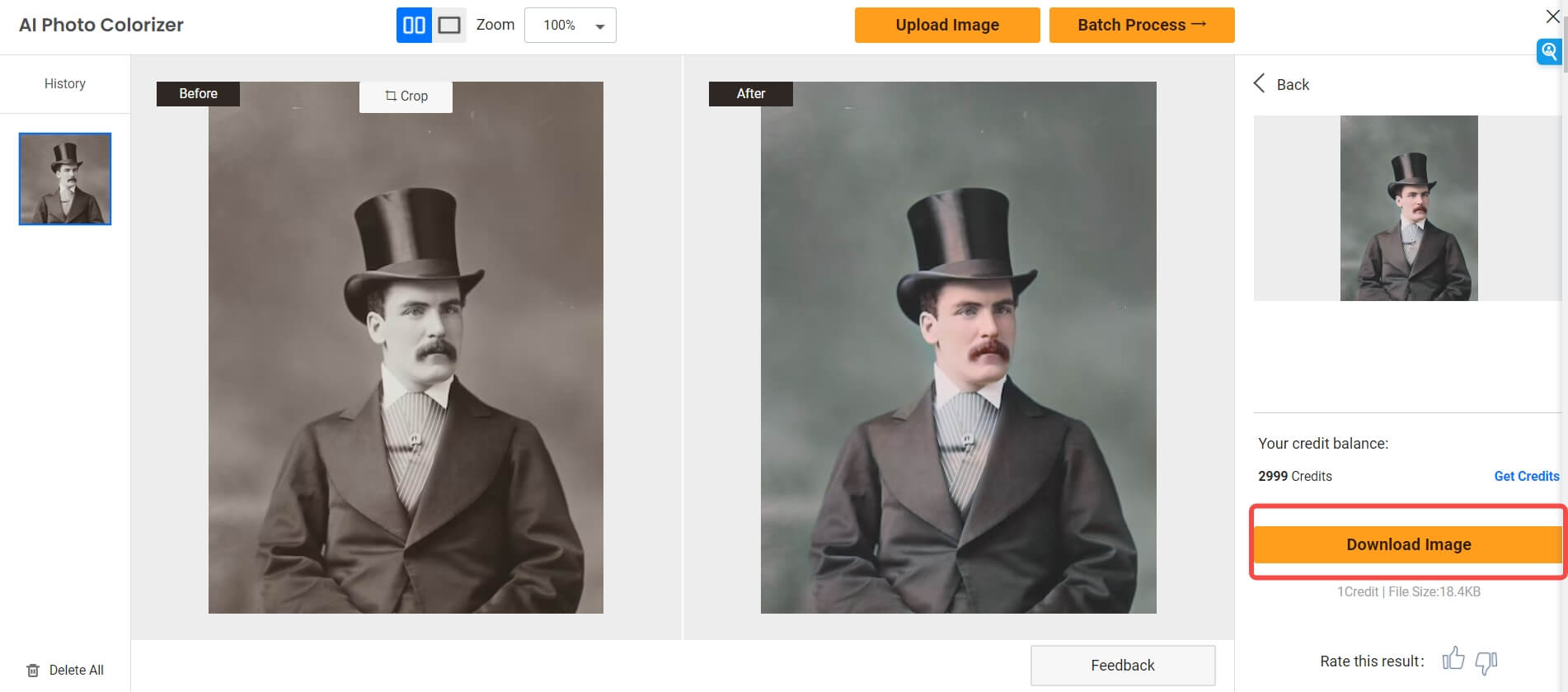 How to Use VanceAI Photo Colorizer to Colorize White and Black Photos?