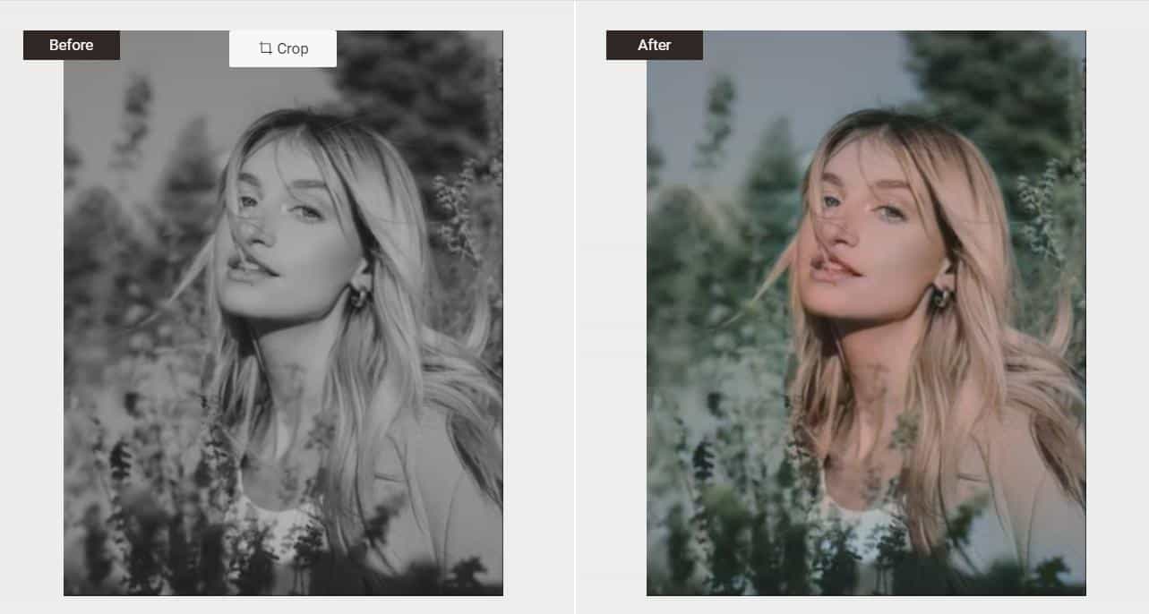 How to Use VanceAI Photo Colorizer to Colorize White and Black Photos?